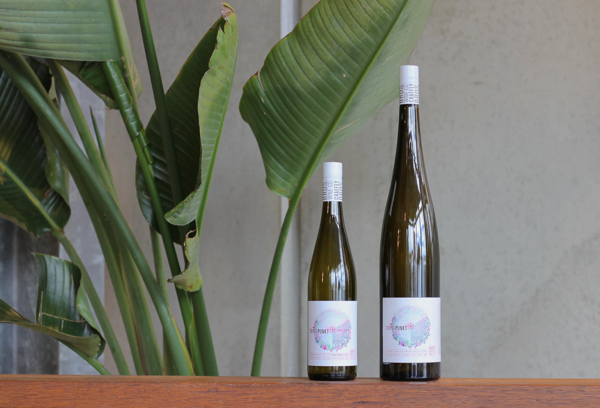 {MAGNUM 1.5L} TRIPELPUNKT* Textural Eden Valley Riesling 2024 – Chaffey ...